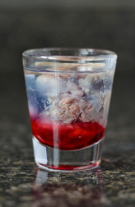 Zombie brain shots - itsmyhappyhour